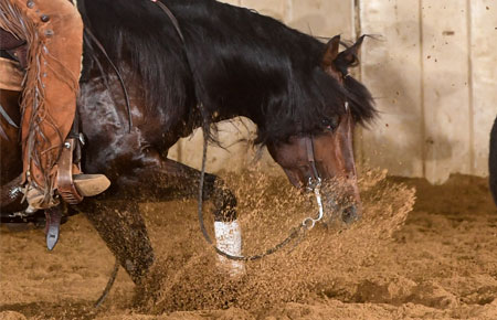 7 Ranch – Cutting Horses