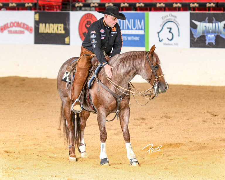 Home of Tin Man - 7 Ranch